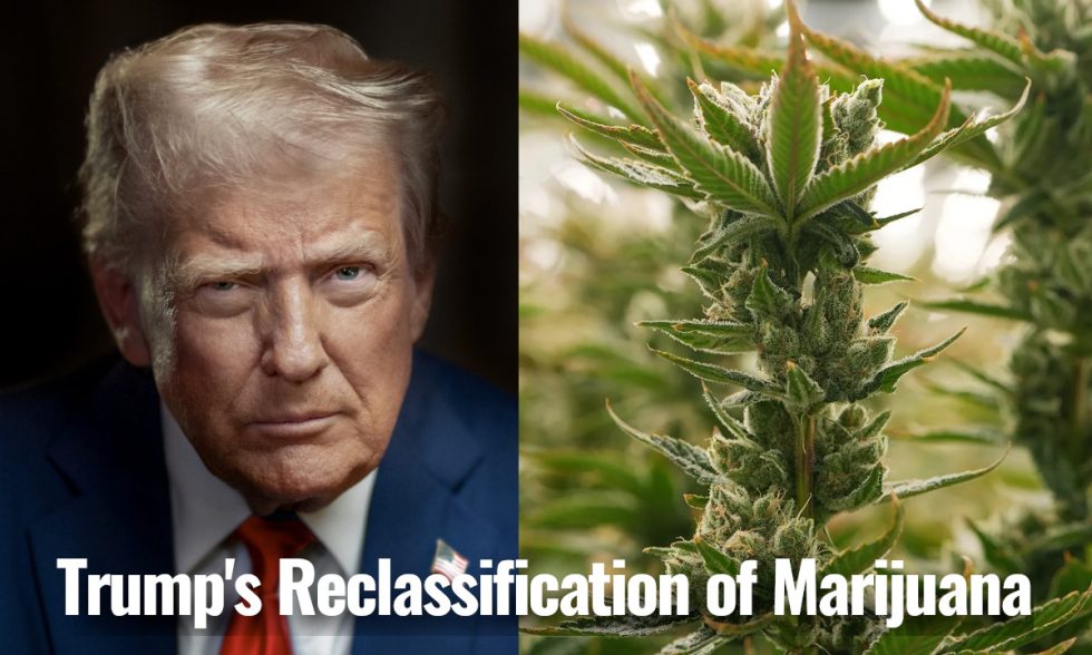 On the Reclassification of Marijuana - South Dakota Republican Party